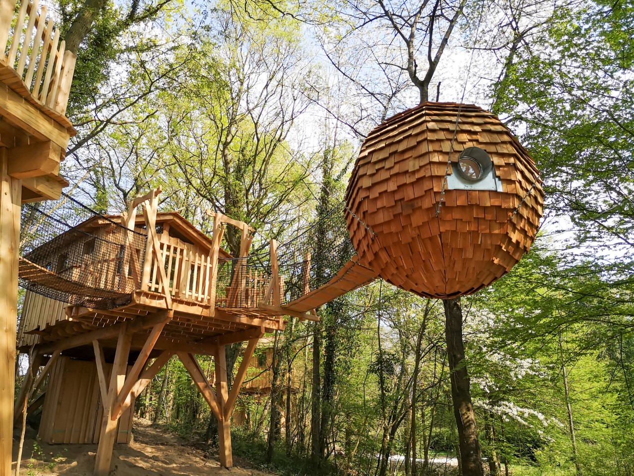 Le bois de Rosoy : dormez dans les arbres ! | La Gazette Oise Le bois de Rosoy : dormez dans les arbres ! | La Gazette Oise